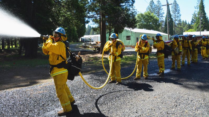 Butte Wildland Fire Training | California Conservation Corps