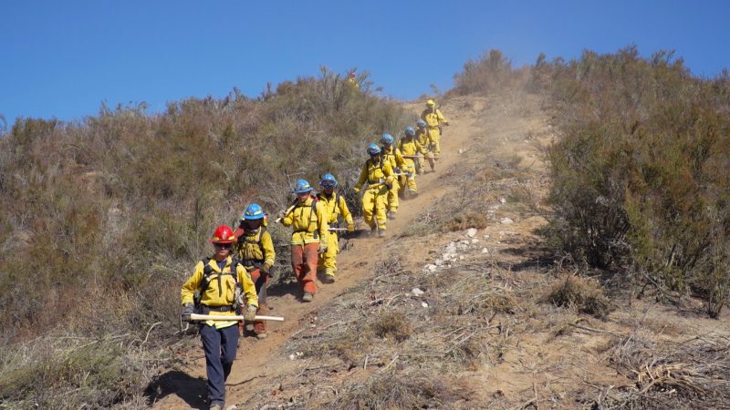 Los Padres Center Fire Crews | California Conservation Corps