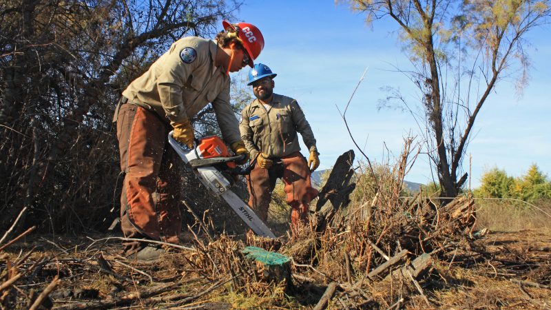Inland Empire Forestry Corps Crew | California Conservation Corps