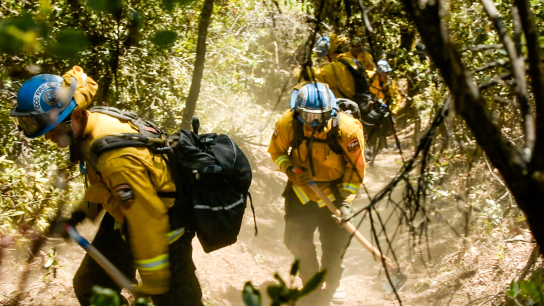 Hands-on Experience for Any Career with Placer Center Fire Crews ...