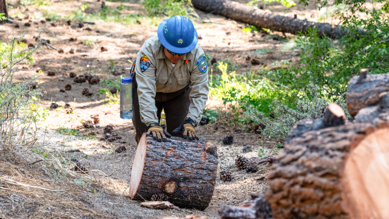 Forestry Corps Improving California’s Forest Health | California ...