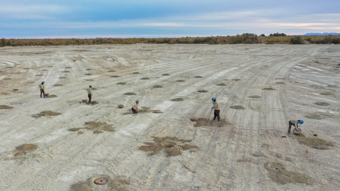 Planting Native Trees with Tribal Partners at the Salton Sea ...