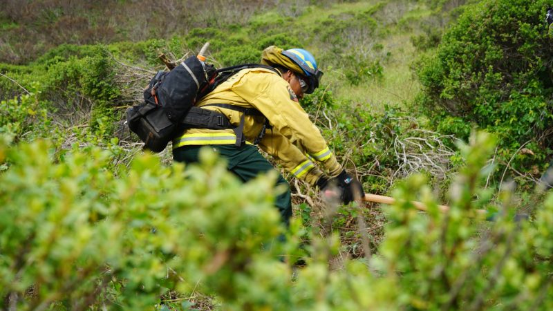 Monterey Bay Fire Crew Ready to Serve Community | California ...