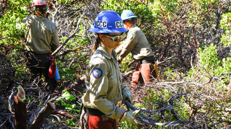 Building Trails That Lead to Careers | California Conservation Corps
