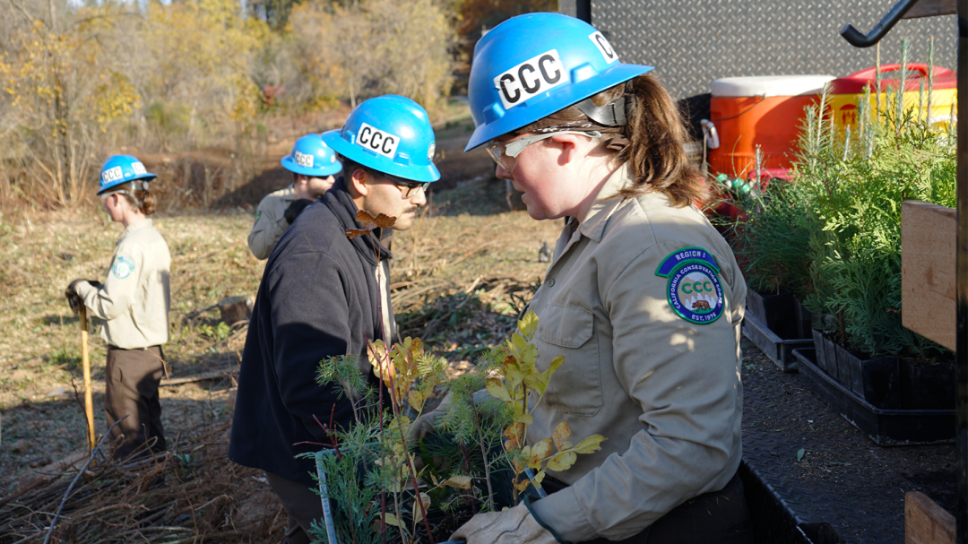 A Gift of Hope, Pride as Corpsmembers Replant a Paradise Park ...