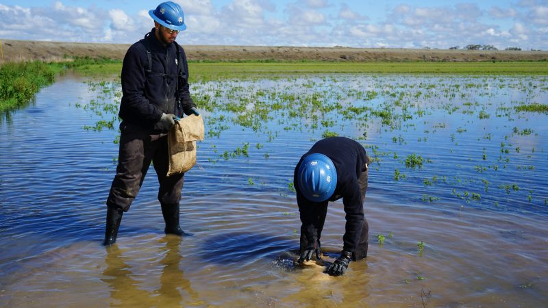 Protecting Levees from Seepage and Sand Boils | California Conservation ...