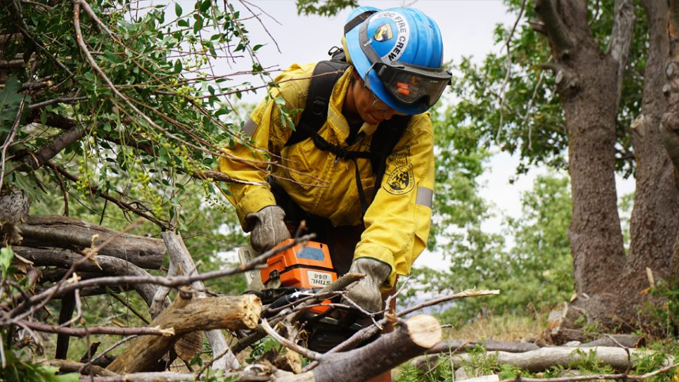 Wildland Firefighting | California Conservation Corps