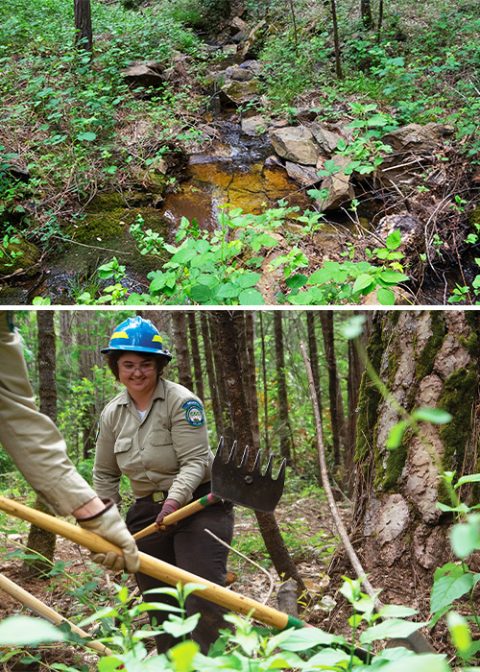 Fortuna Center | California Conservation Corps