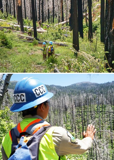 Los Padres Center | California Conservation Corps