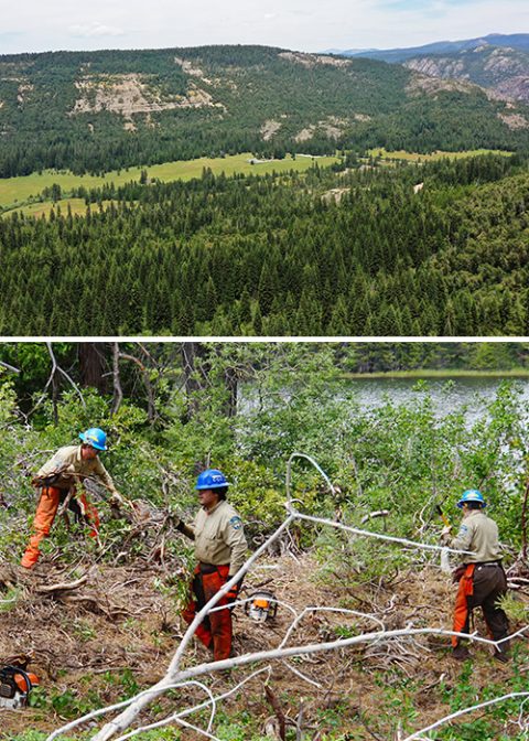 Fortuna Center | California Conservation Corps