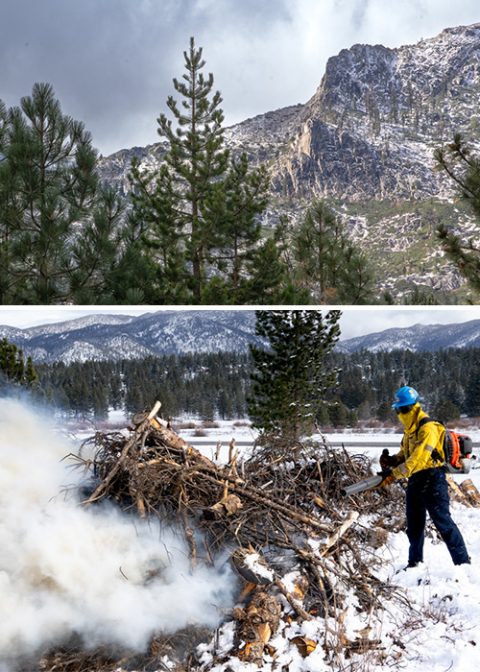 Mendocino Center | California Conservation Corps