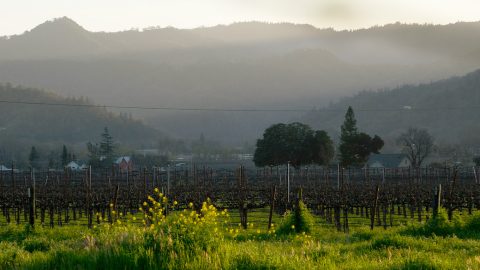 Collaborate | California Conservation Corps