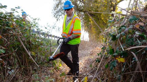 Resource Conservation | California Conservation Corps
