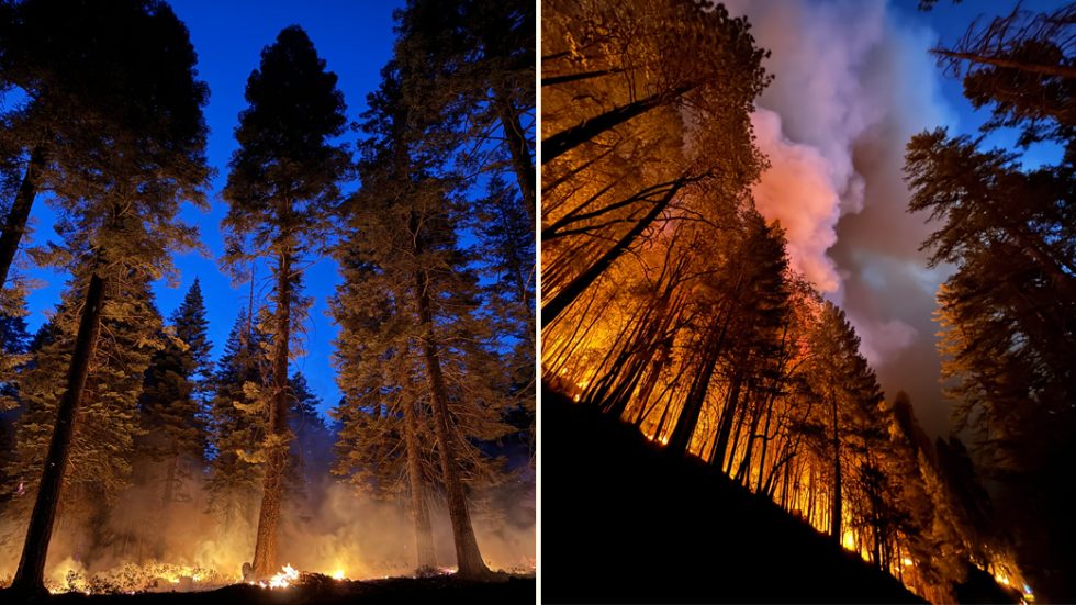 Wildland Firefighting | California Conservation Corps