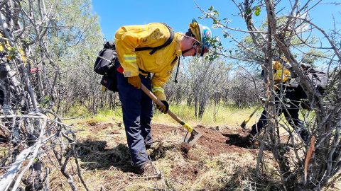 Months of Training Prepare Magalia Crews for Peak Wildfire Season